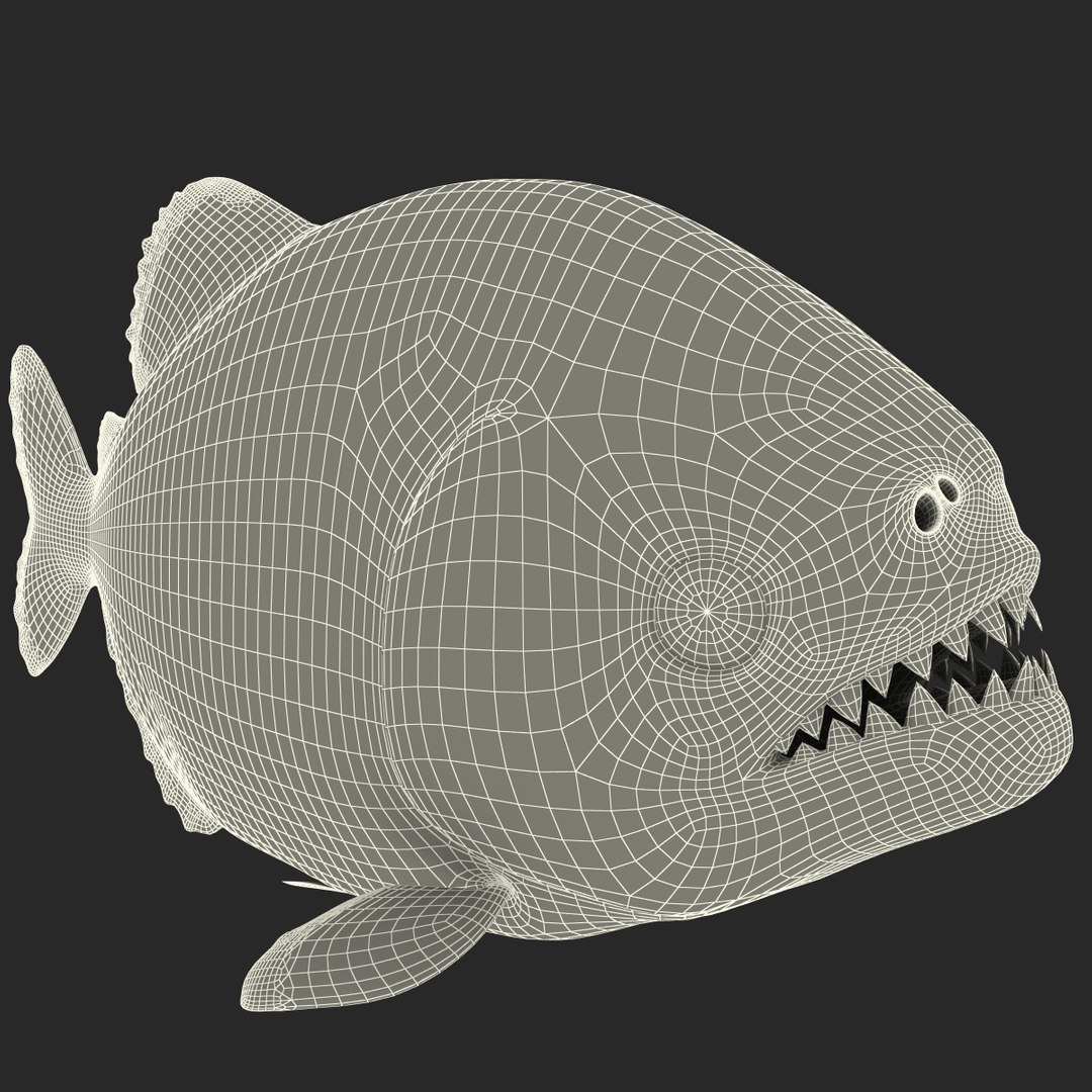 3d piranha modelled