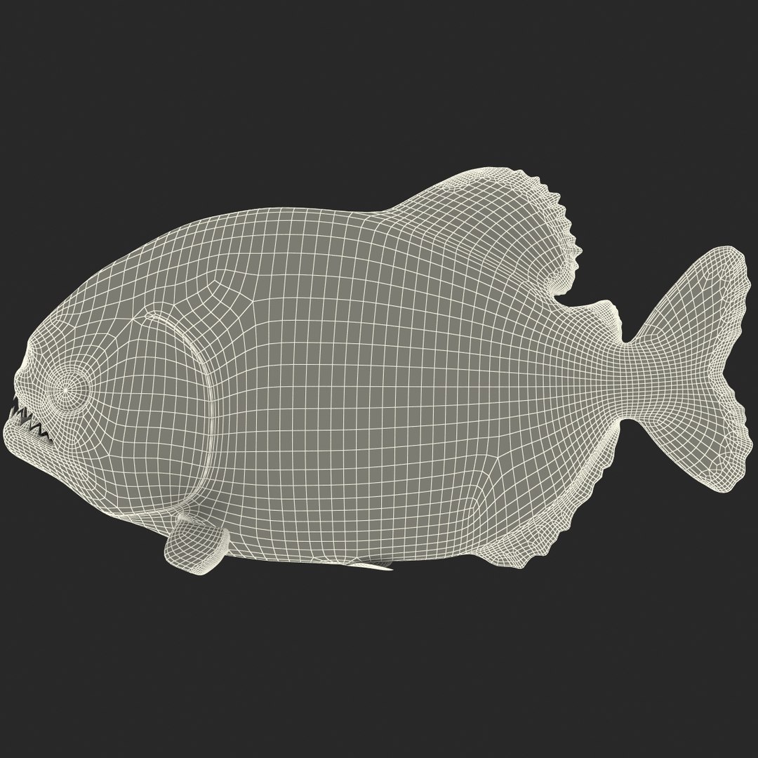 3d piranha modelled