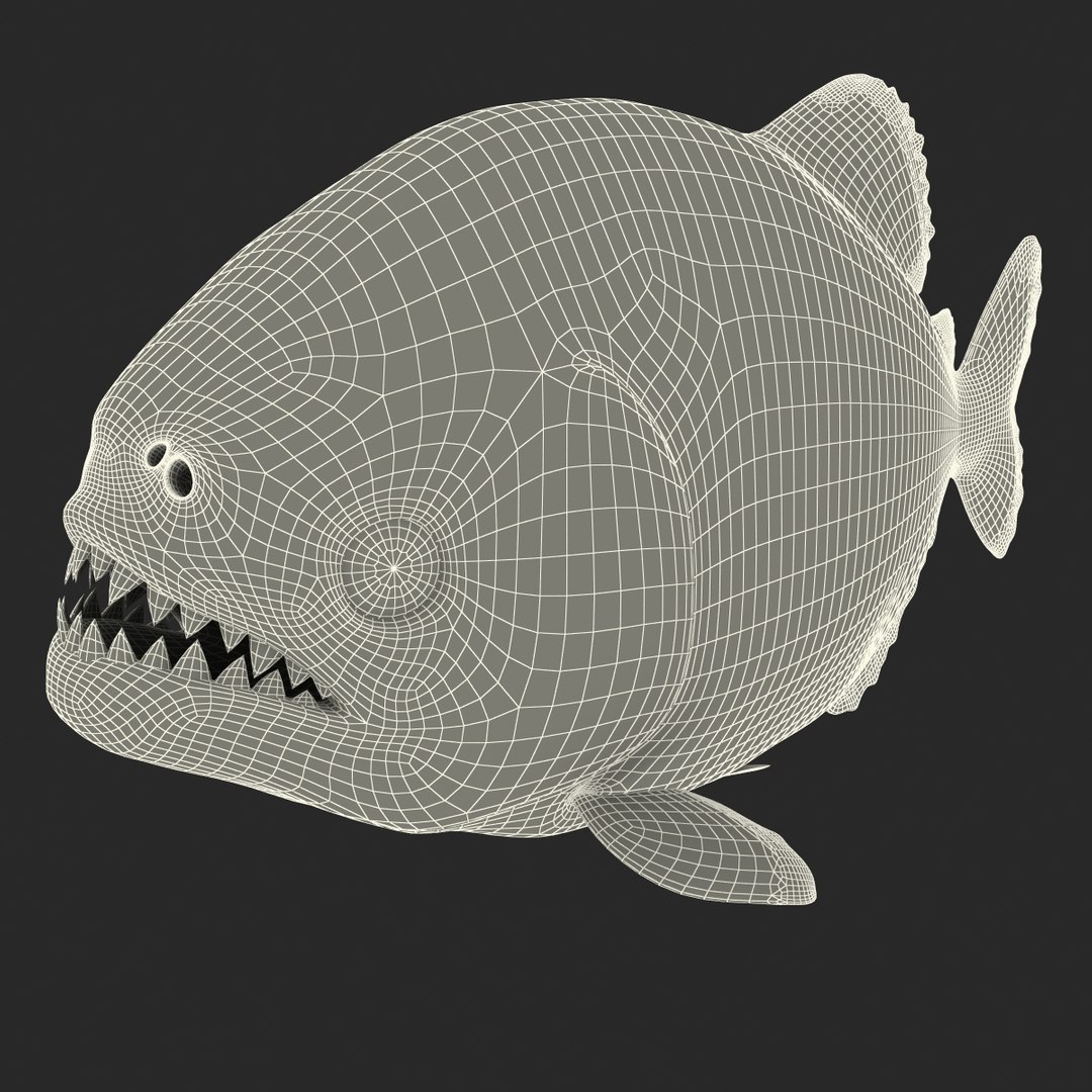 3d piranha modelled