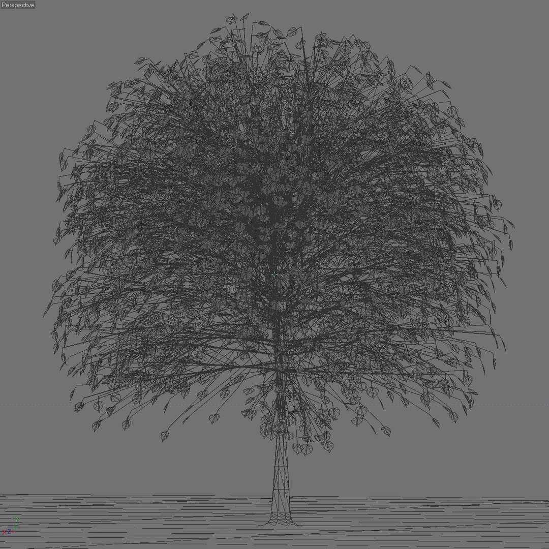 plane tree 3d model