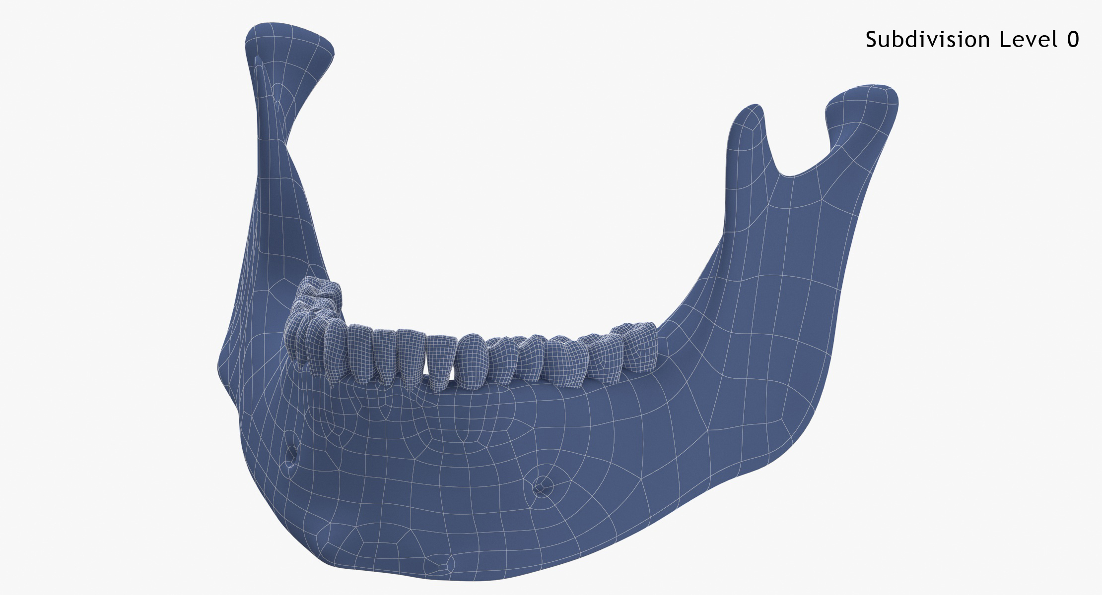 3D model real human jawbone mandible - TurboSquid 1617505