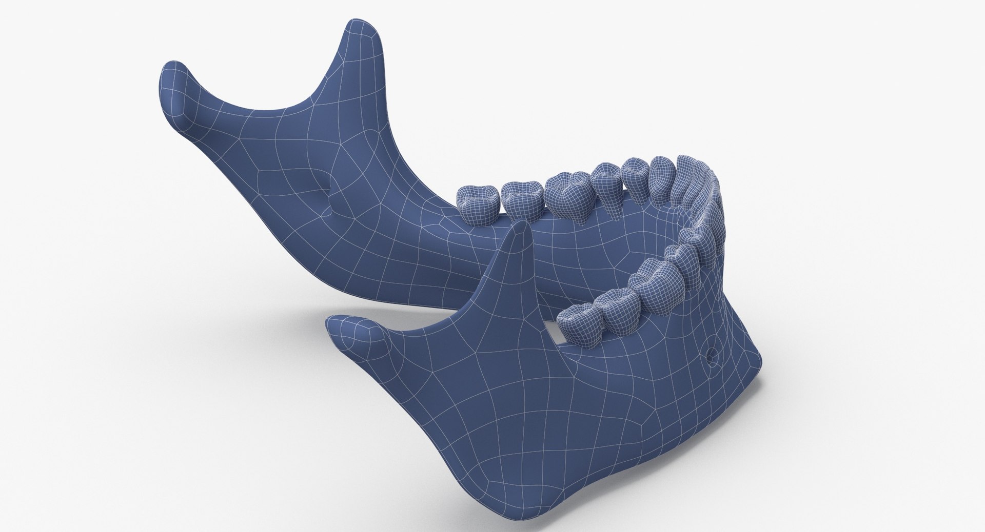 3D Model Real Human Jawbone Mandible - TurboSquid 1617505