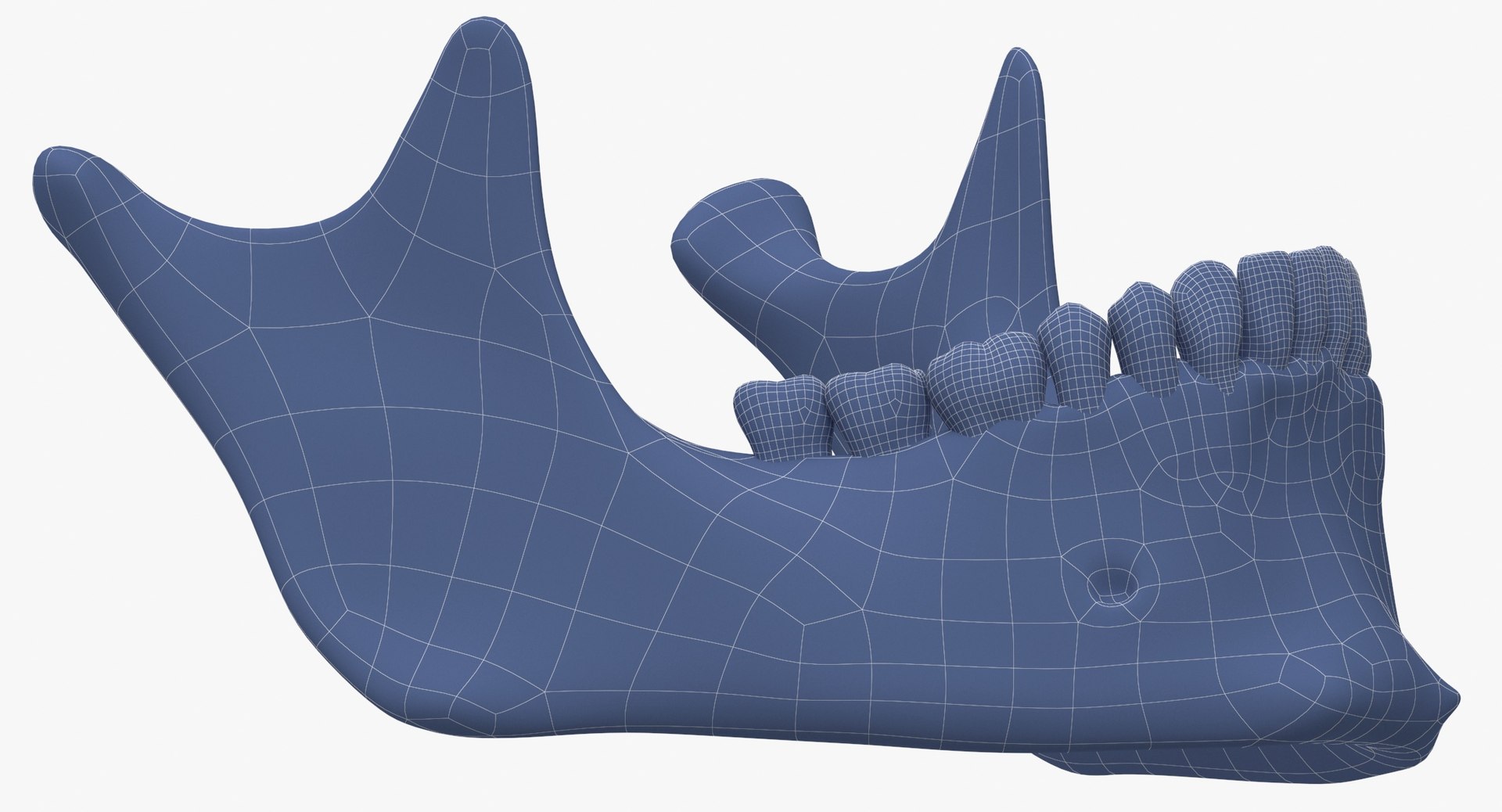 3D Model Real Human Jawbone Mandible - TurboSquid 1617505