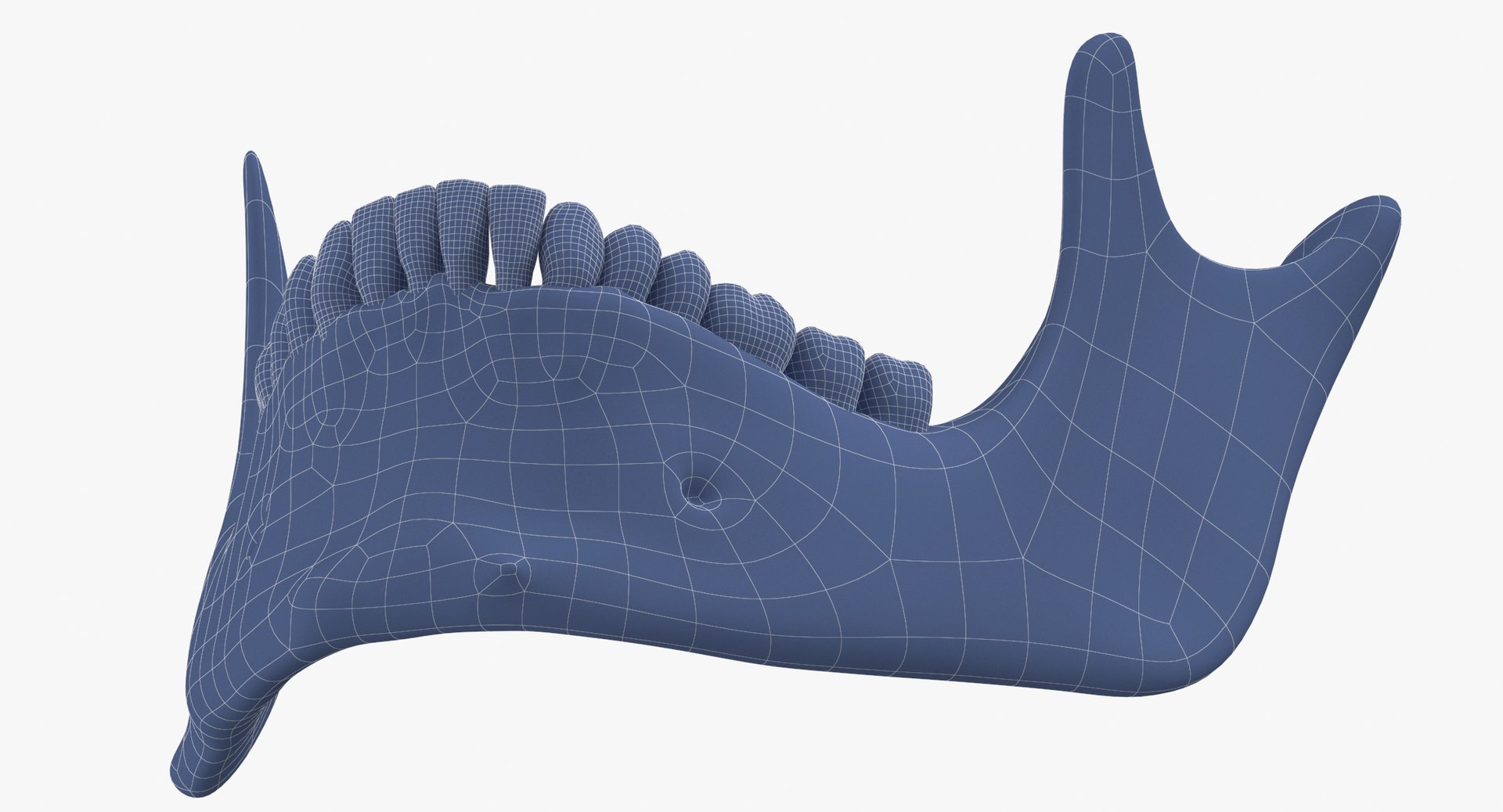 3D Model Real Human Jawbone Mandible - TurboSquid 1617505