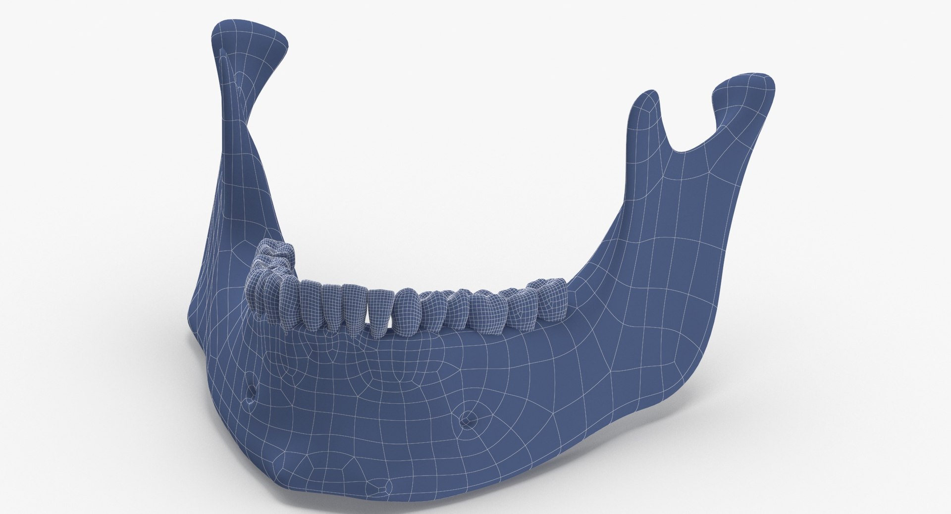 3D Model Real Human Jawbone Mandible - TurboSquid 1617505