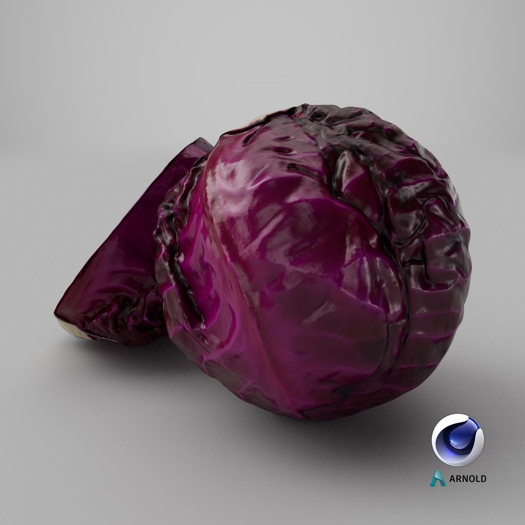 3D Red Cabbage 1 Model - TurboSquid 2130775