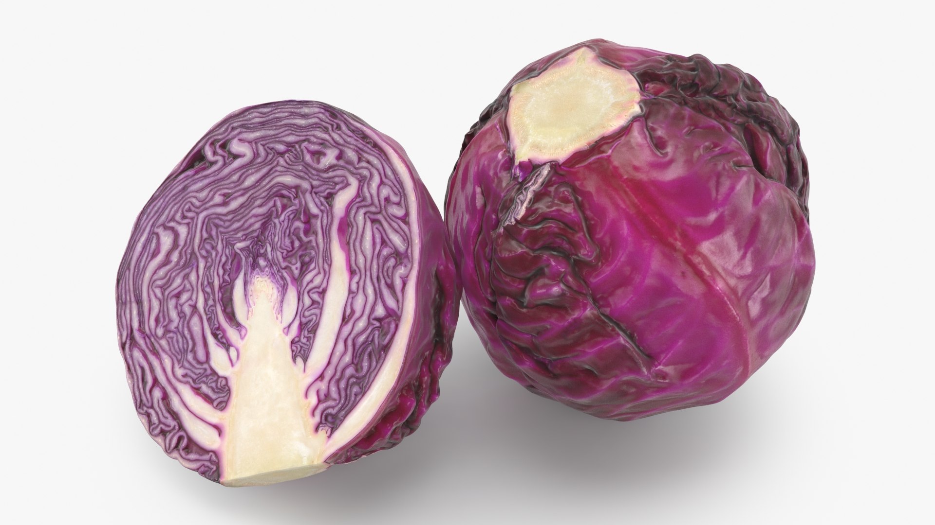 3D Red Cabbage 1 Model - TurboSquid 2130775