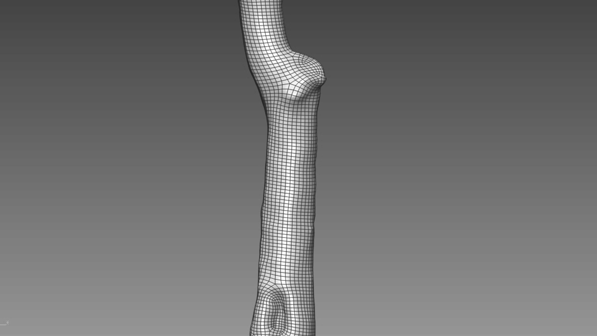 Fraxinus 3D Model - TurboSquid 1792704