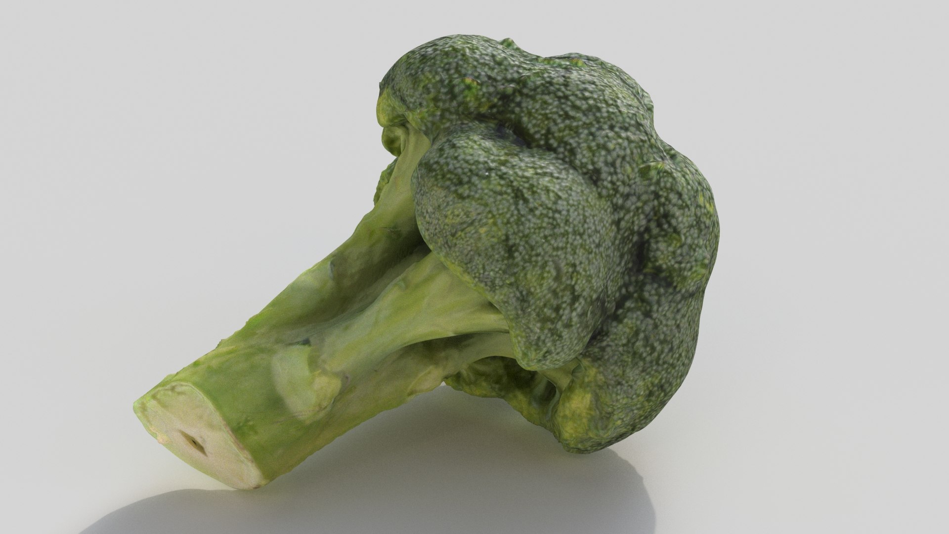 3D Broccoli Model - TurboSquid 1827331