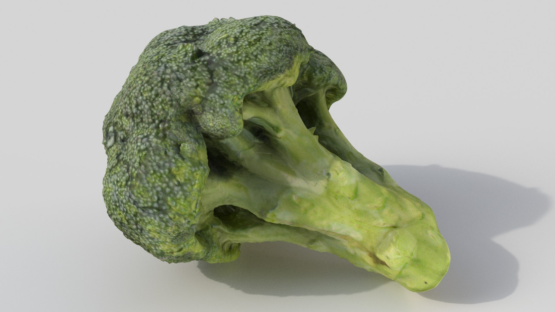 3D Broccoli Model - TurboSquid 1827331