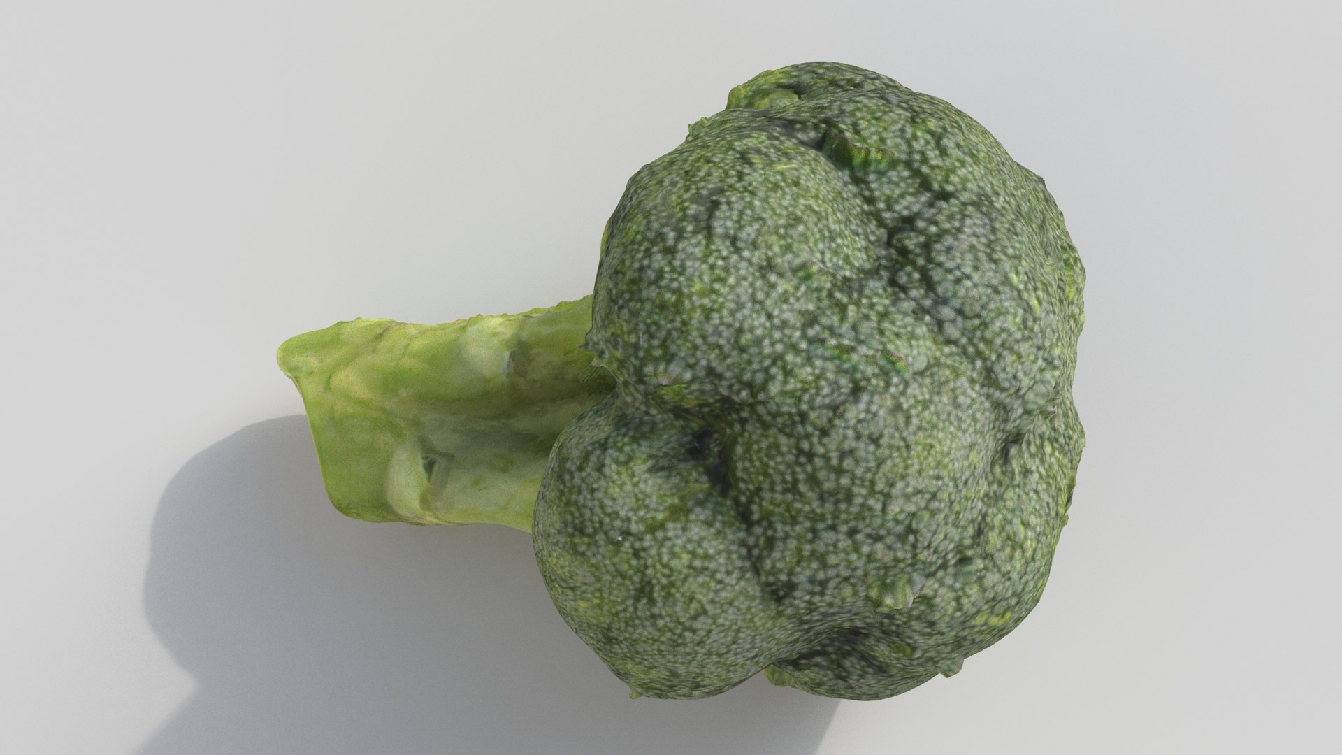 3D Broccoli Model - TurboSquid 1827331