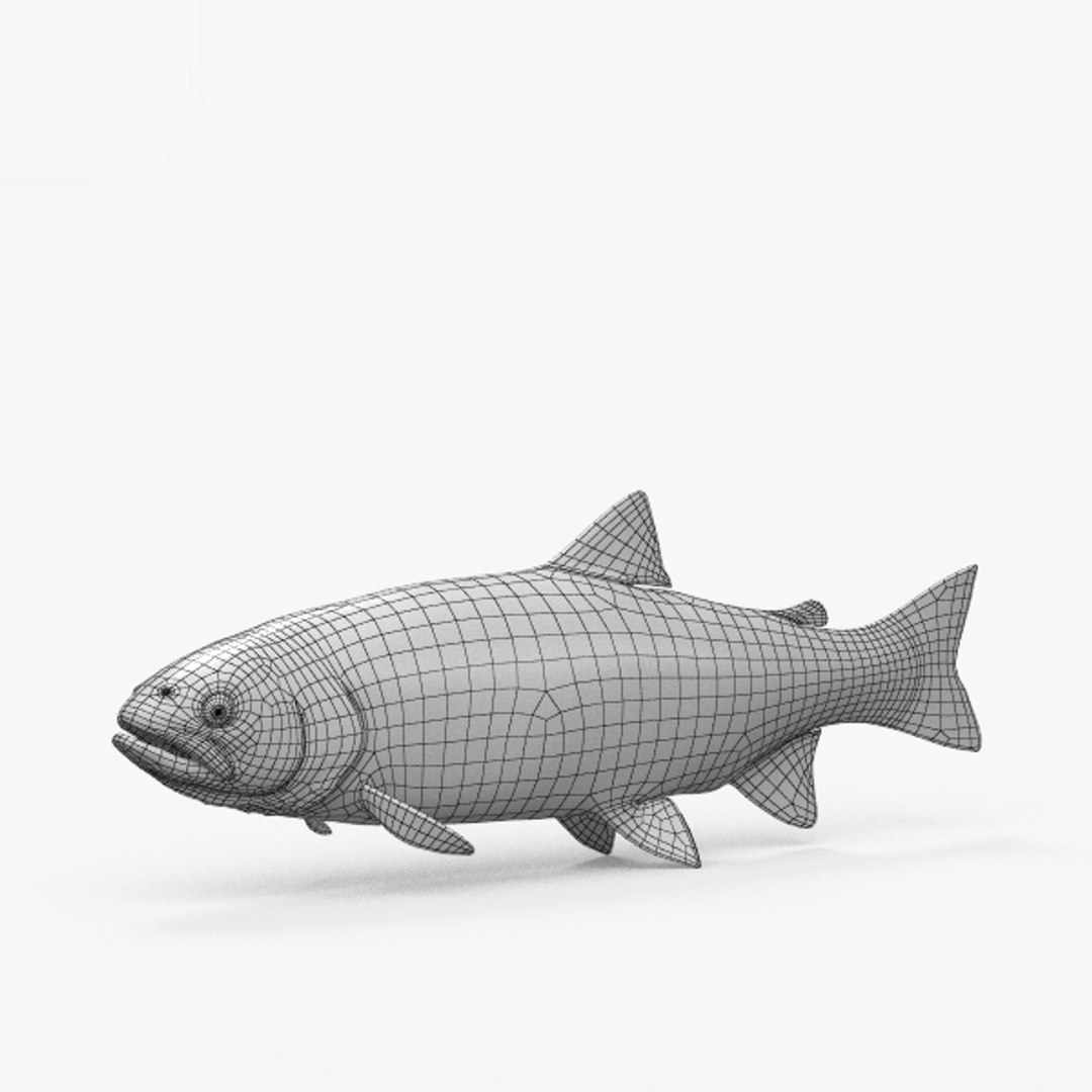 3D Model Trout Fish - TurboSquid 1426673