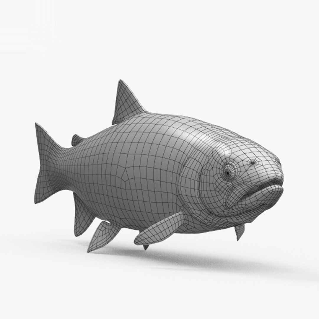 3D Model Trout Fish - TurboSquid 1426673