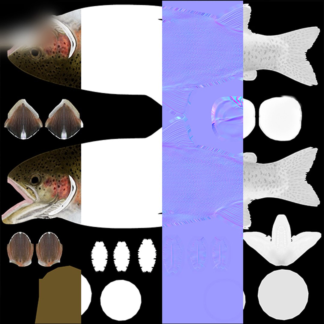 3D Model Trout Fish - TurboSquid 1426673