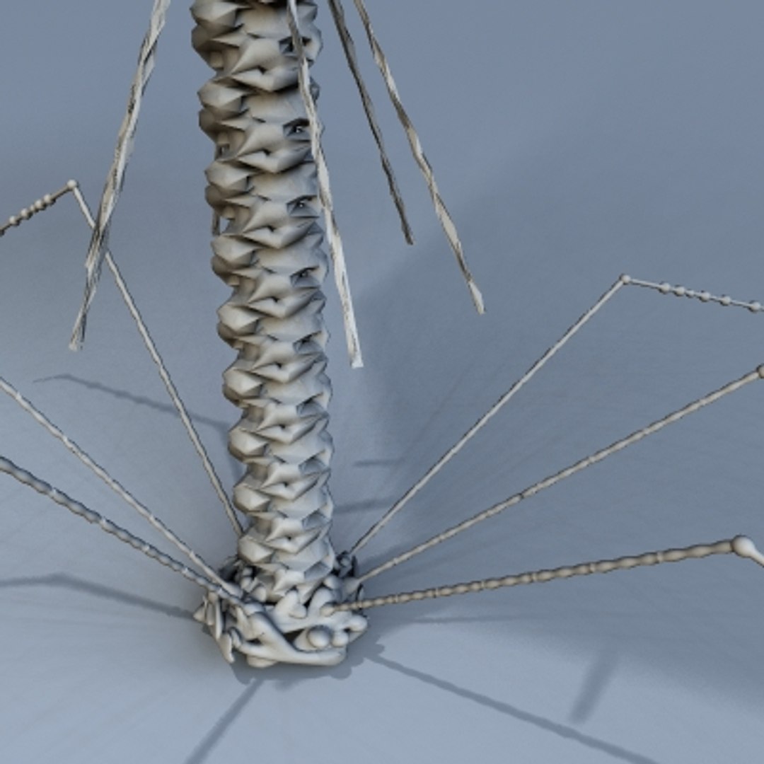 T4 Virus Protein 3d 3ds