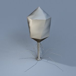 T4 Virus 3D Models for Download | TurboSquid