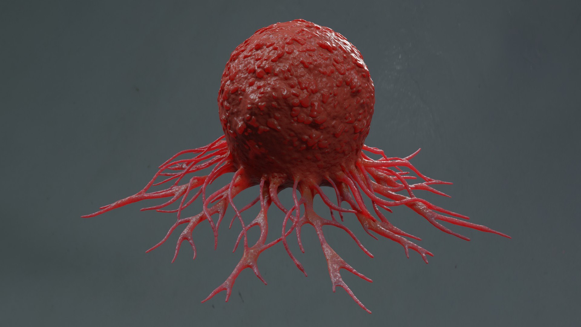 Tumors 3D model - TurboSquid 2159319