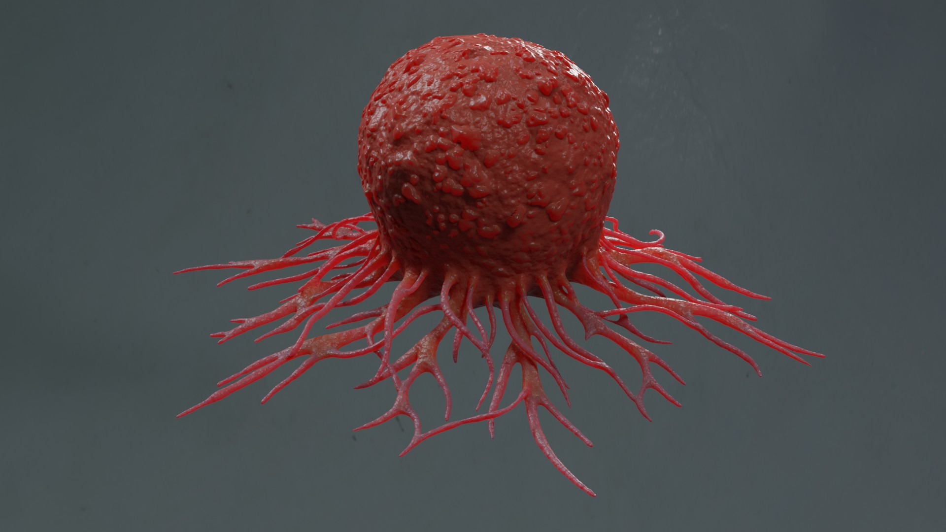 Tumors 3D model - TurboSquid 2159319