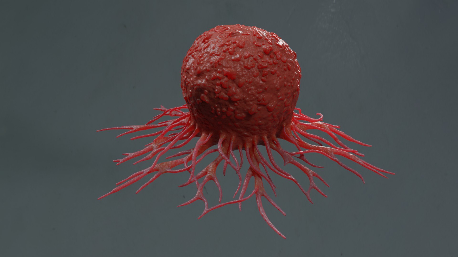 Tumors 3D model - TurboSquid 2159319