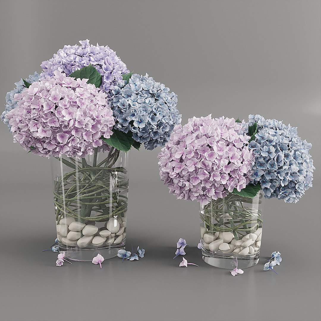 3D Model Hydrangea Purple Blue - TurboSquid 1398526