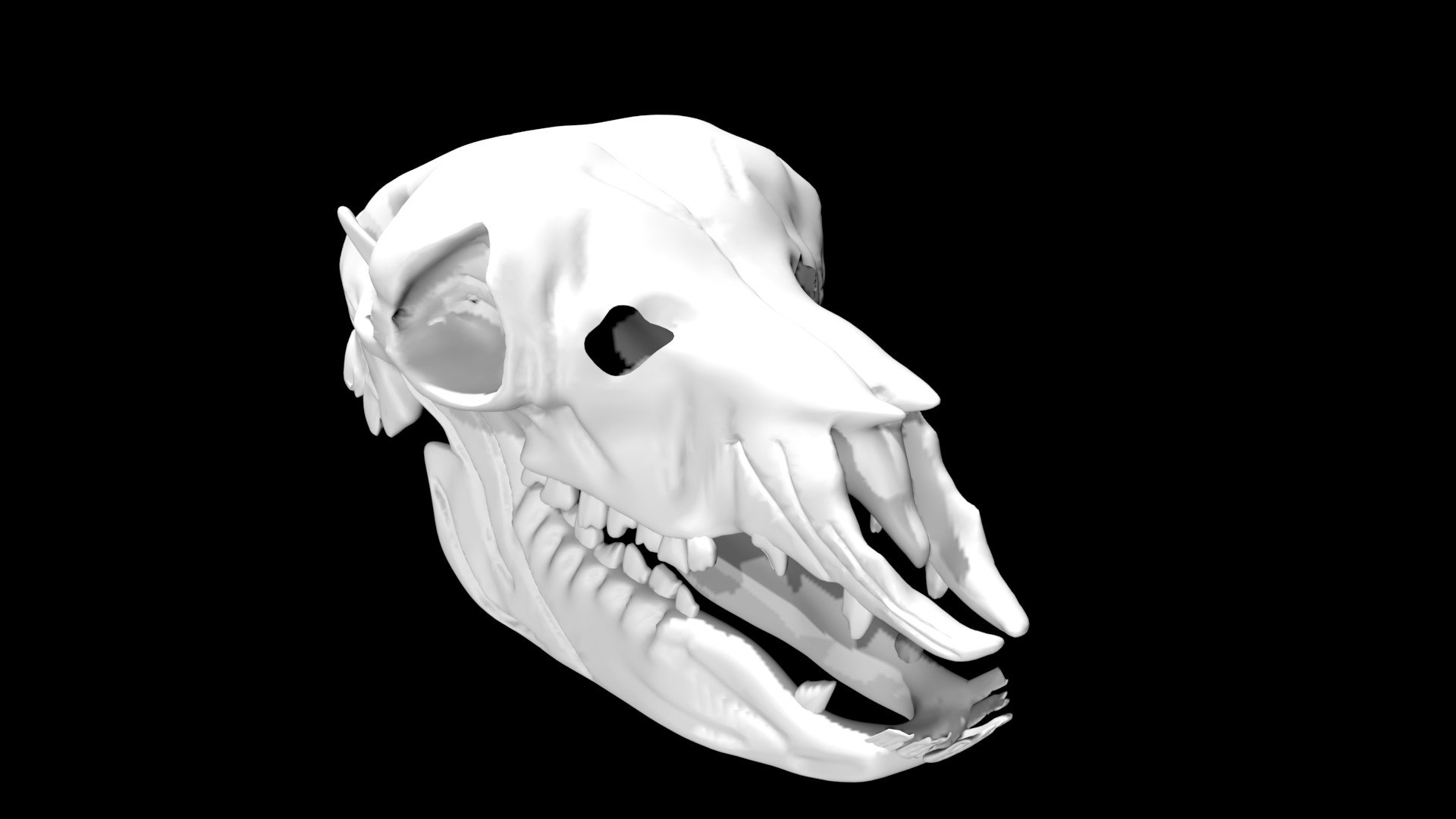 Alpaca Skull 3D - TurboSquid 1880830