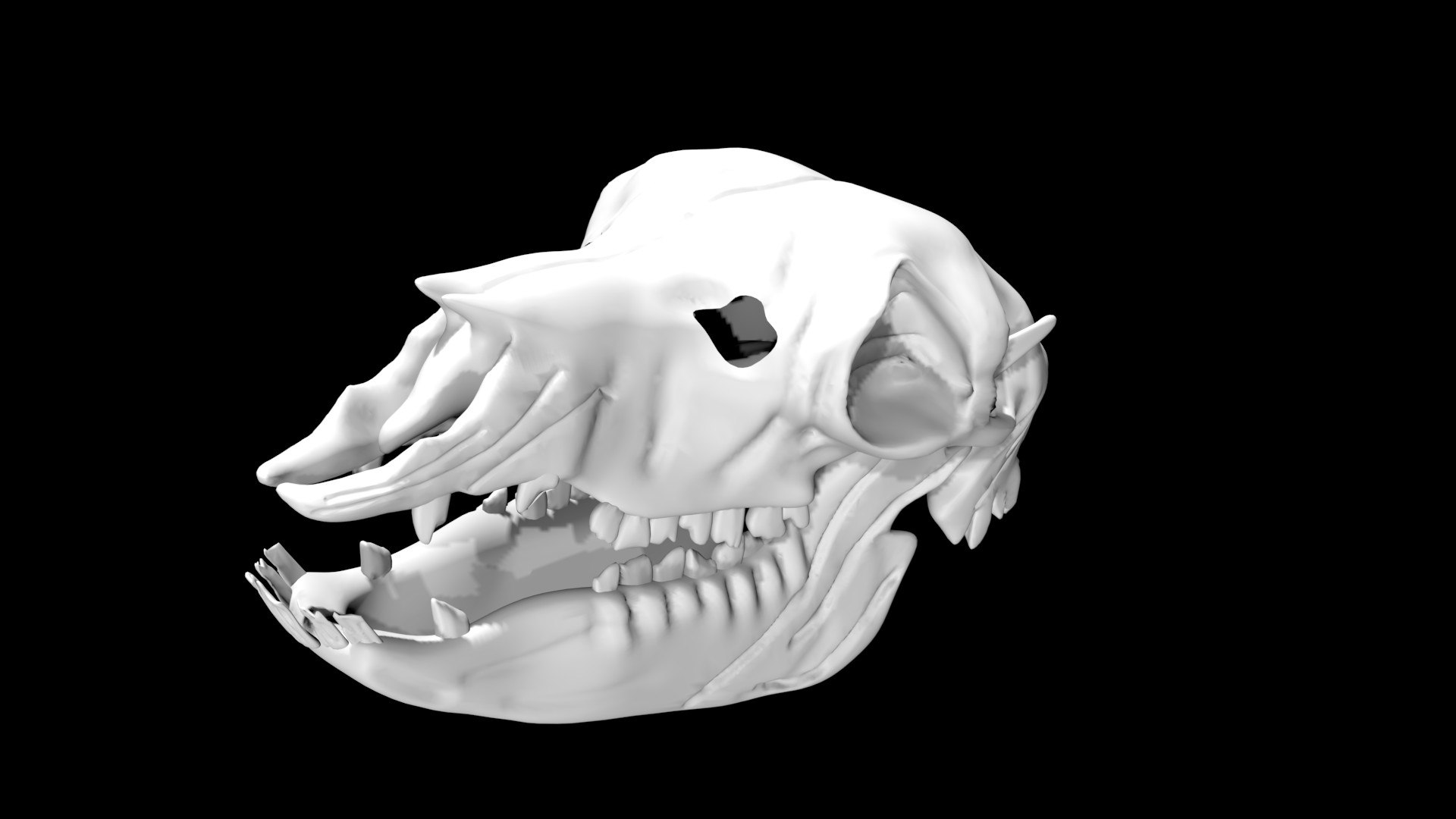 Alpaca Skull 3D - TurboSquid 1880830