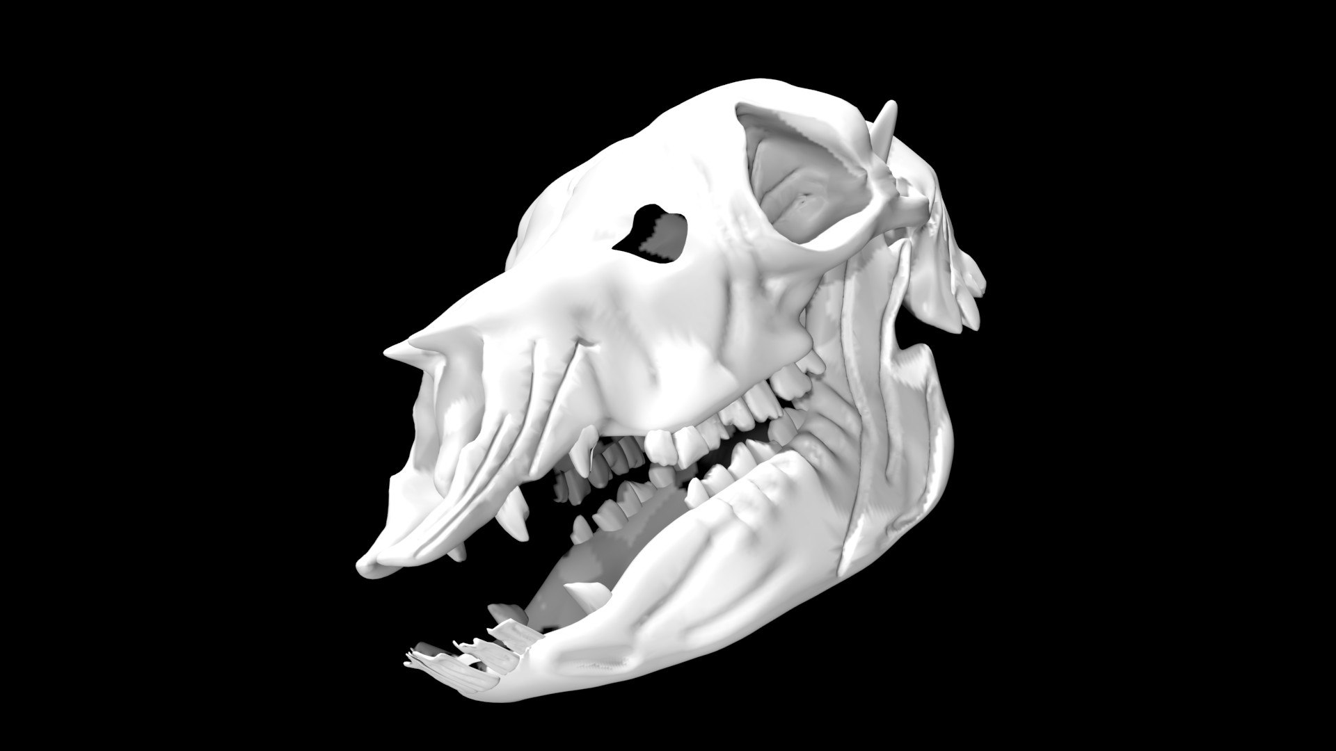 Alpaca Skull 3D - TurboSquid 1880830