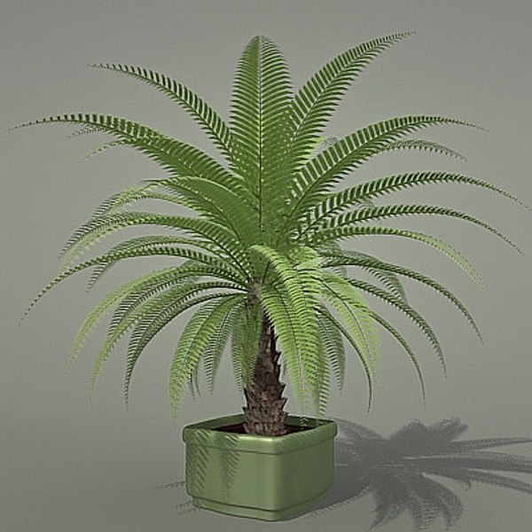 3D 3D Studio plant Plants flower