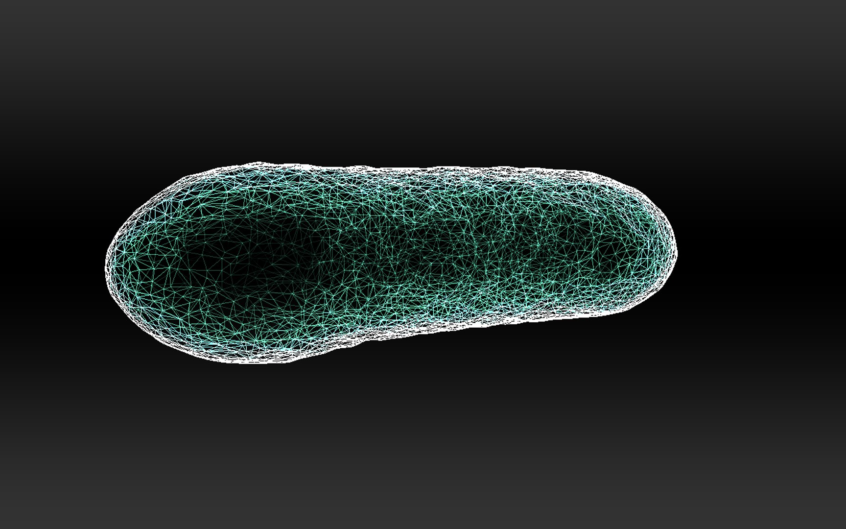 Cucumber 3D Model - TurboSquid 1604077