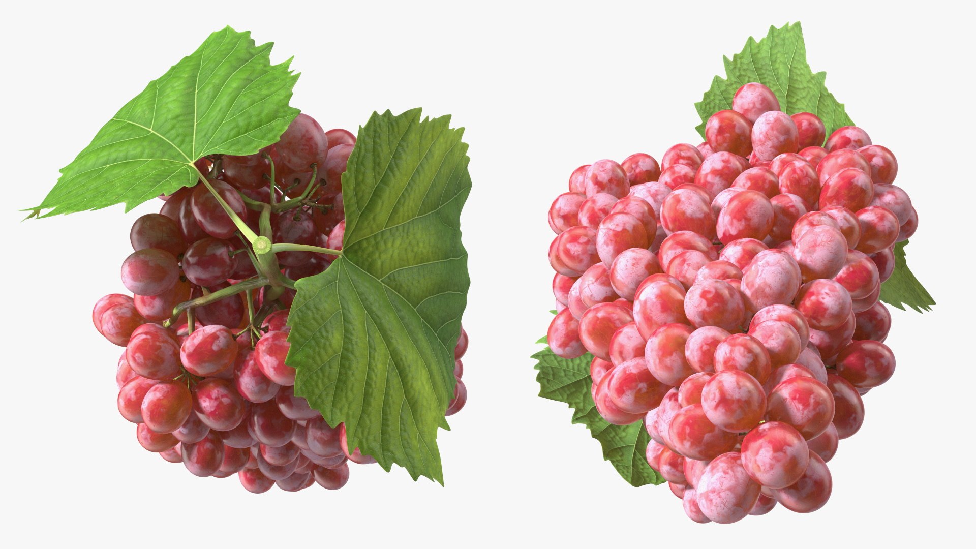 3D Red Sultana Grape Cluster Model - TurboSquid 2179076