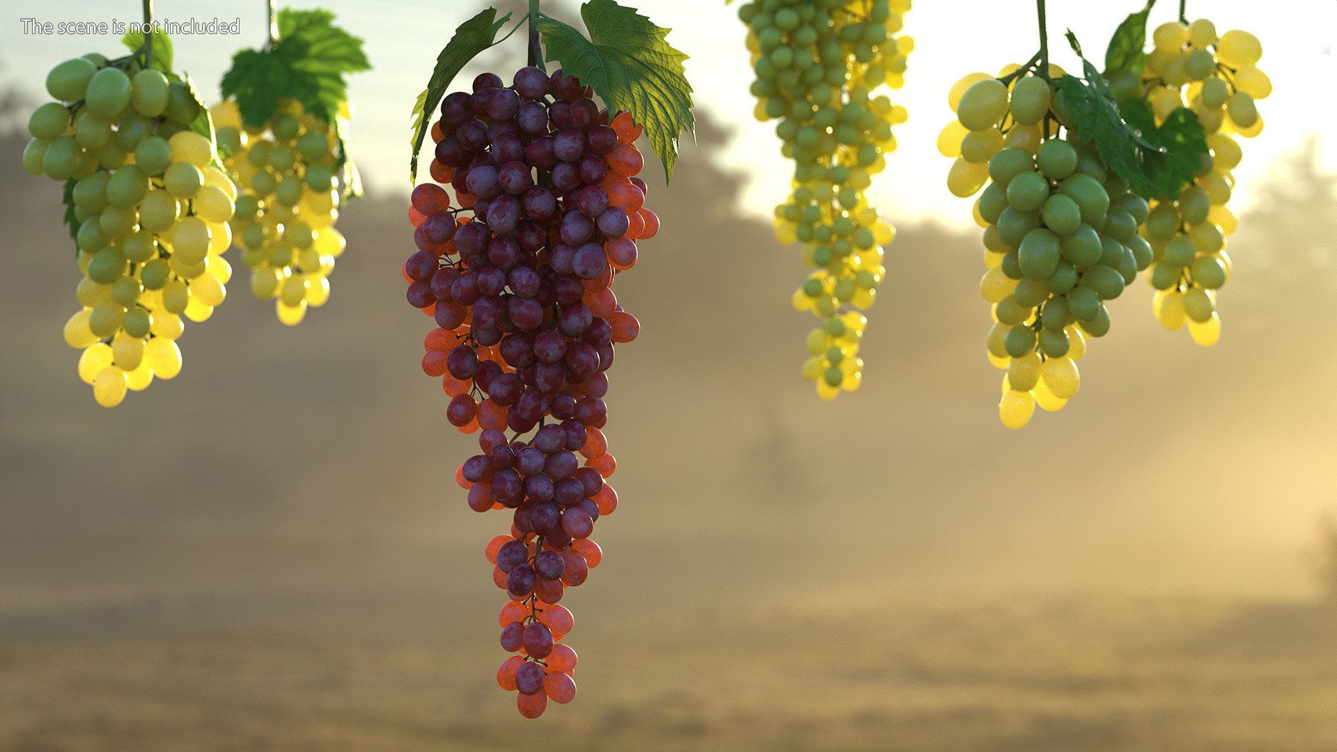 3D Red Sultana Grape Cluster Model - TurboSquid 2179076