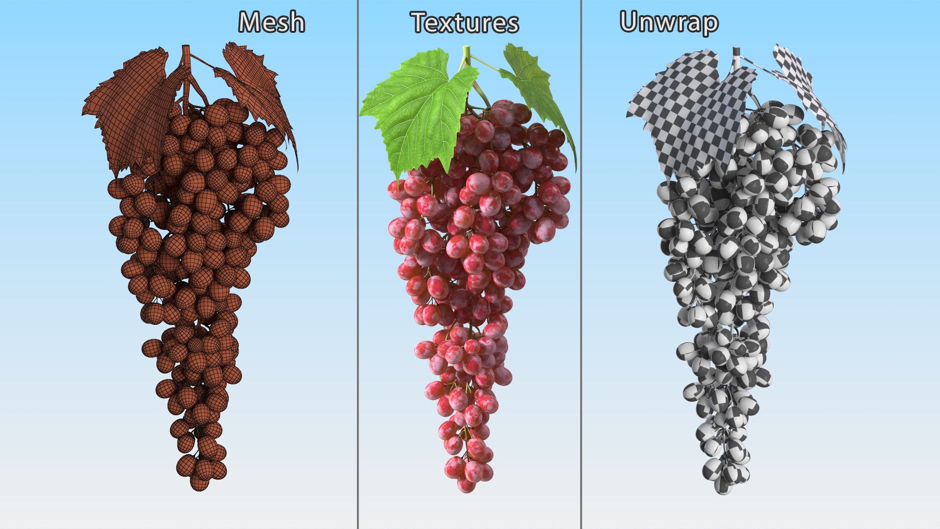 3D Red Sultana Grape Cluster Model - TurboSquid 2179076