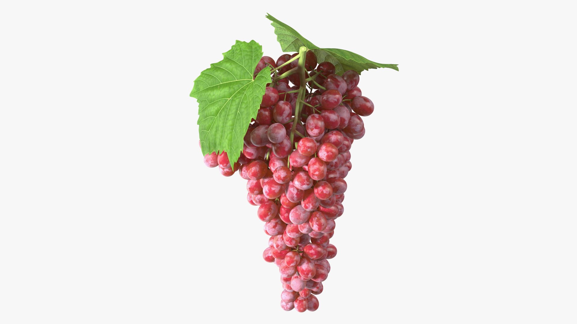 3D Red Sultana Grape Cluster Model - TurboSquid 2179076