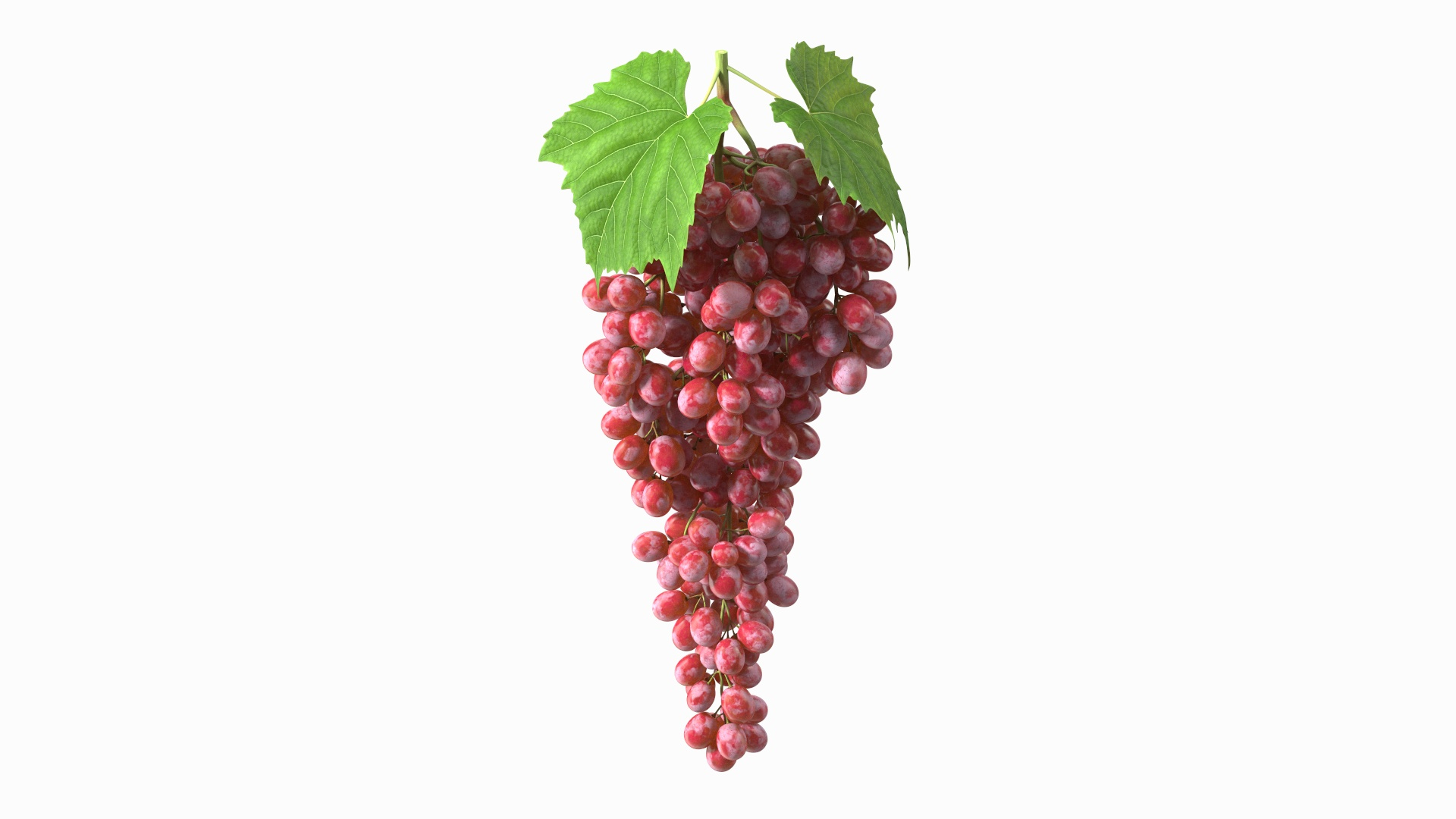 3D Red Sultana Grape Cluster Model - TurboSquid 2179076