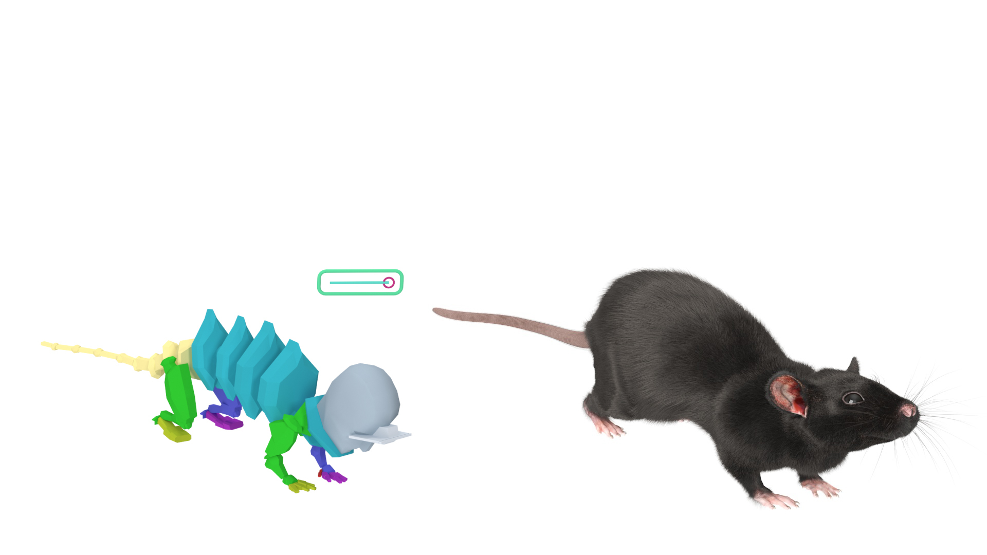 3D Fancy Rat Rigged Fur - TurboSquid 2376306