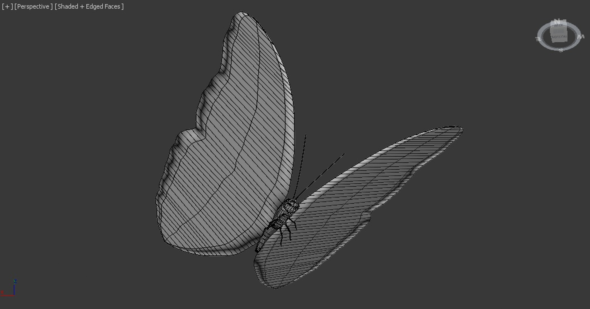 Butterfly fly 3D model - TurboSquid 1189157