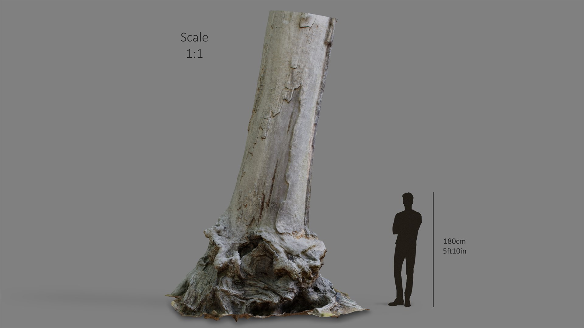 Tree Stump 3D Model - TurboSquid 1950231