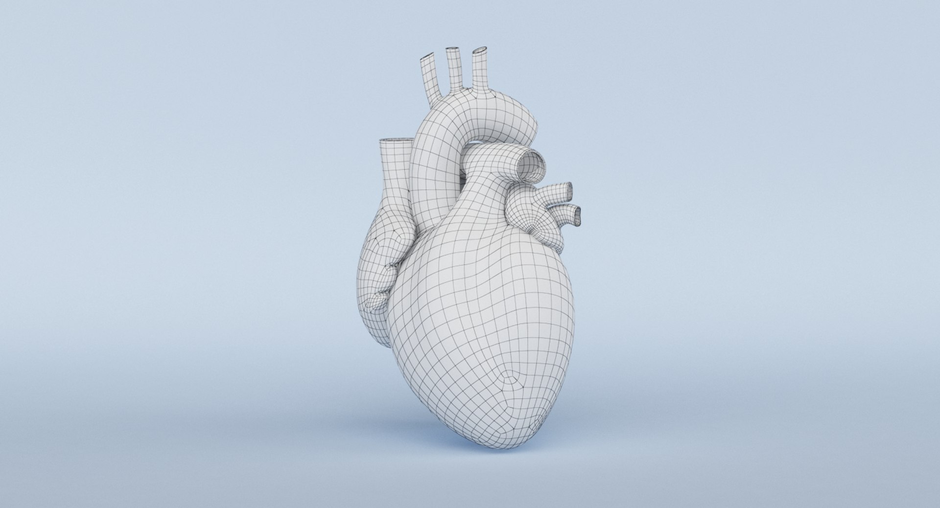 Heart Anatomy 3d 3ds