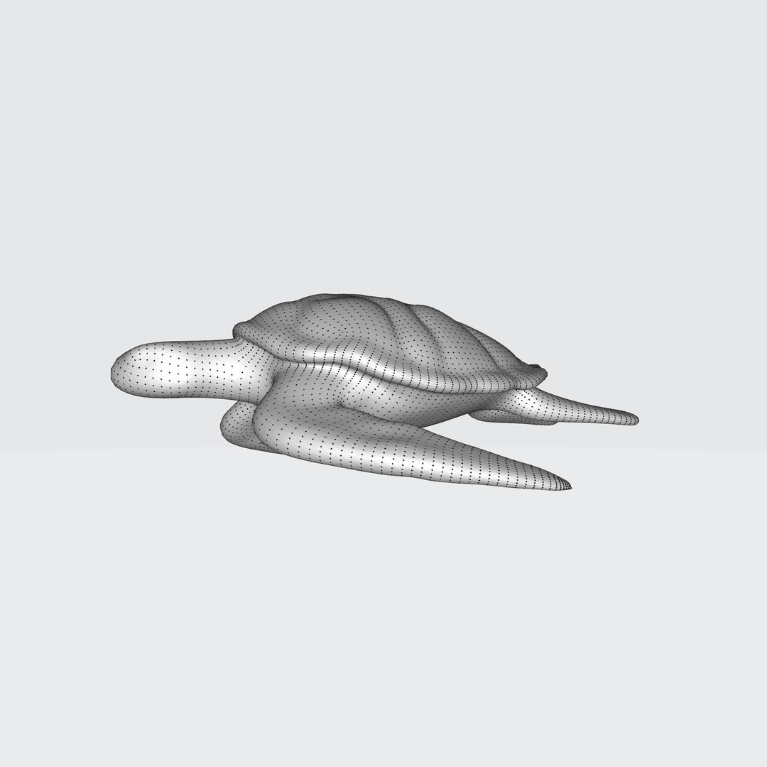 3D Realistic Sea Turtle Model - TurboSquid 2268992