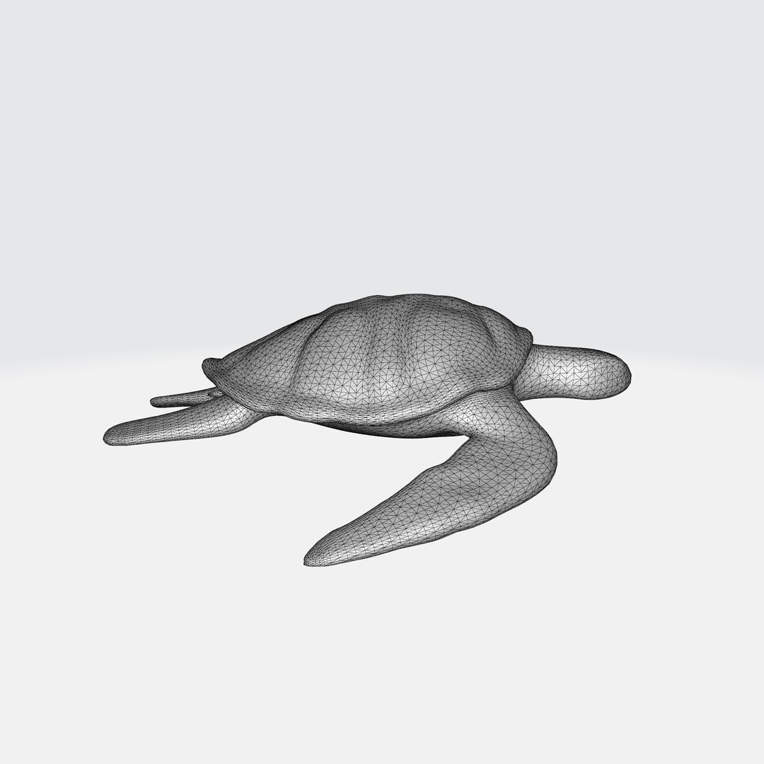3D Realistic Sea Turtle Model - TurboSquid 2268992