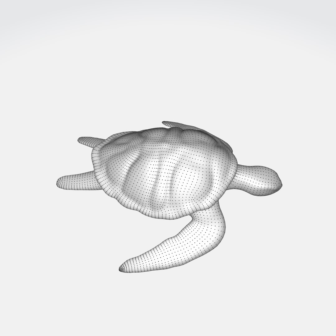 3D Realistic Sea Turtle Model - TurboSquid 2268992