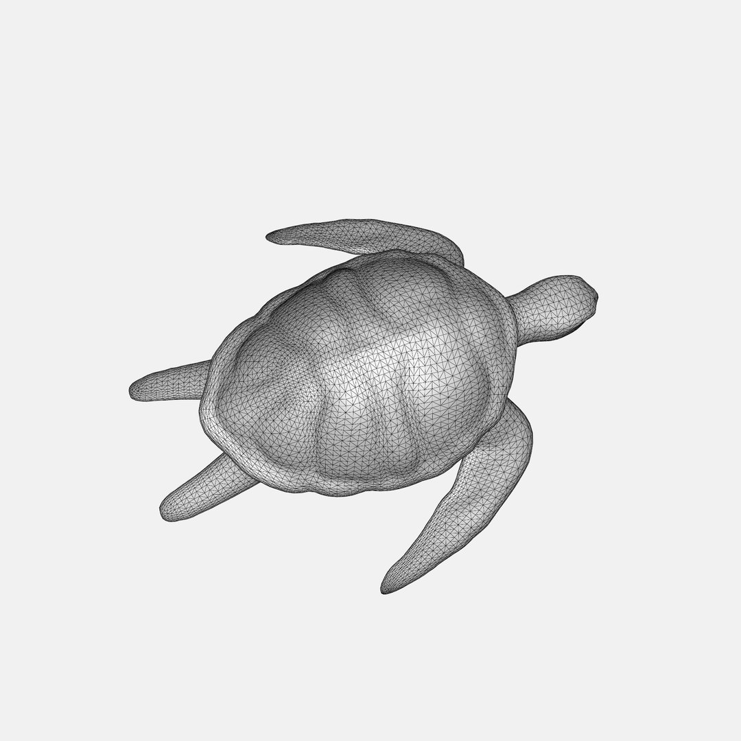 3D Realistic Sea Turtle Model - TurboSquid 2268992