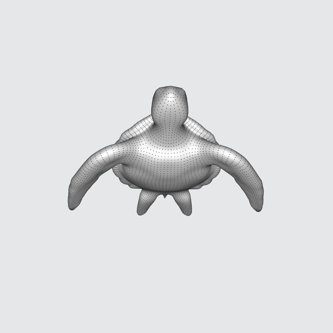 3D Realistic Sea Turtle Model - TurboSquid 2268992