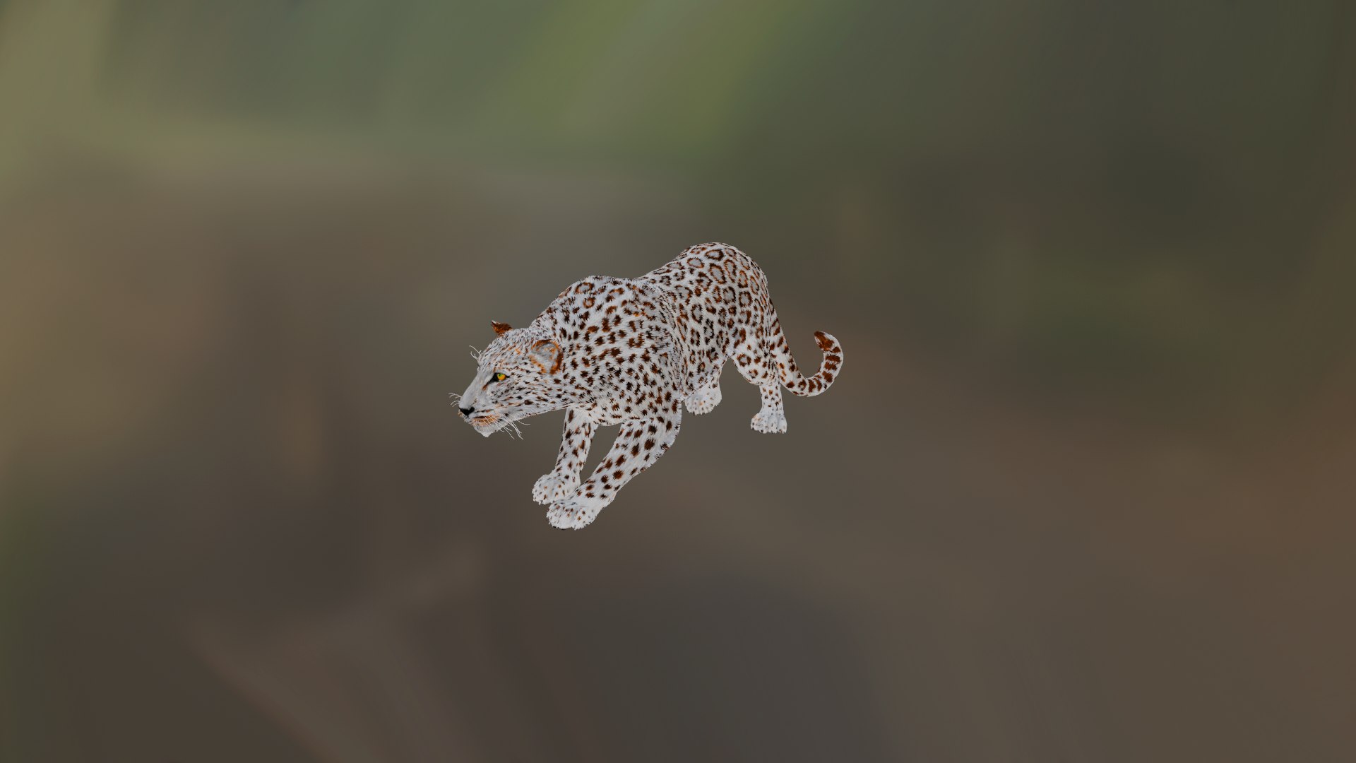 Brown Leopard 3D model - TurboSquid 1863608