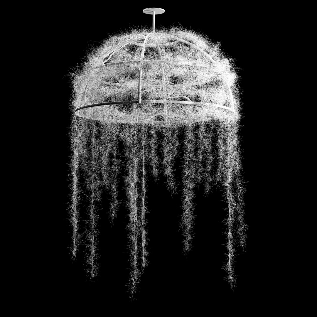 Spanish Moss Dome 3D Model - TurboSquid 1254956