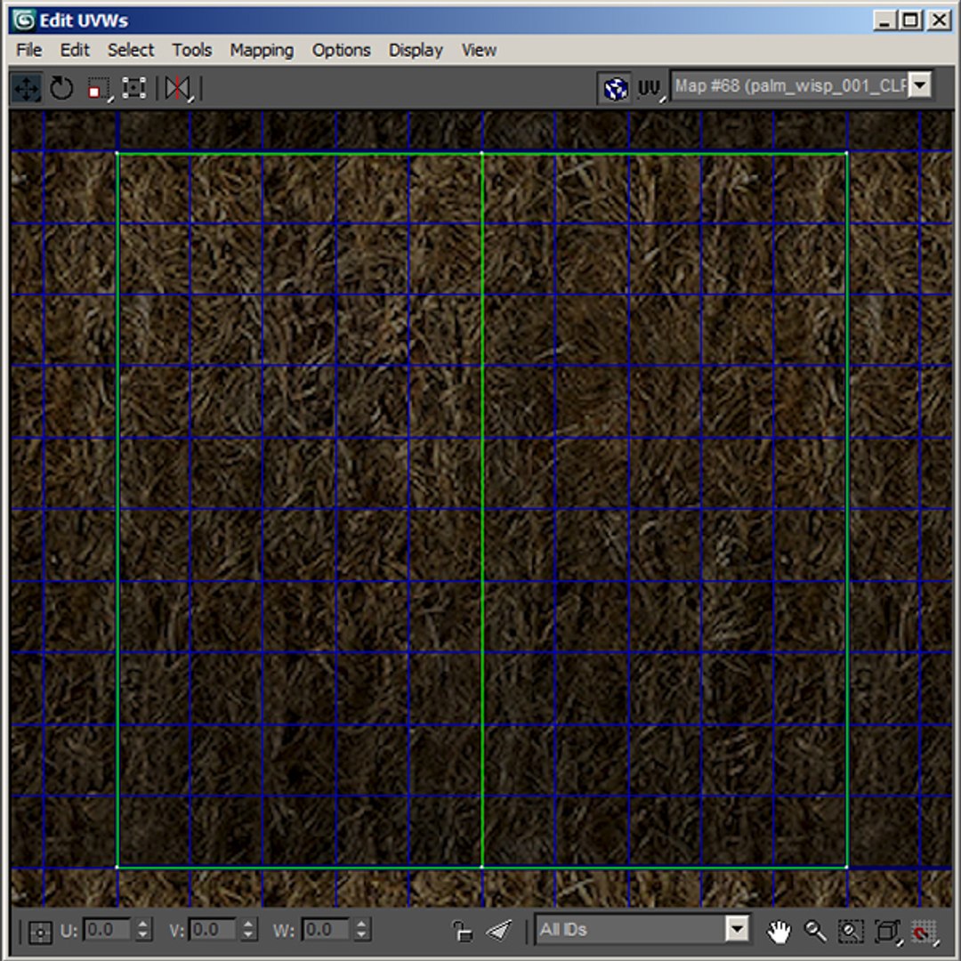 Date Palm Tree 3d
