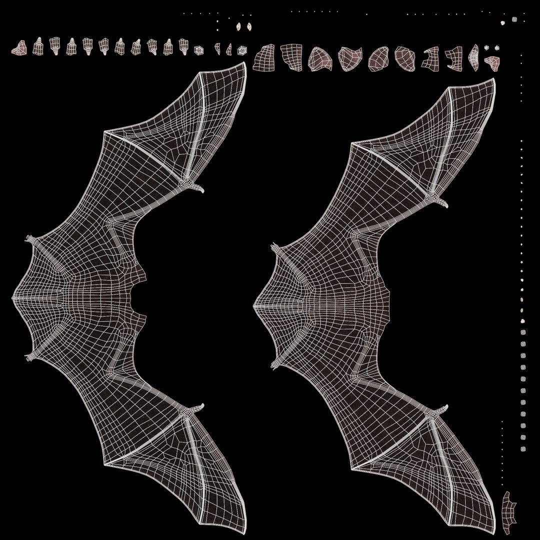 Vampire Bat Model - TurboSquid 1803926