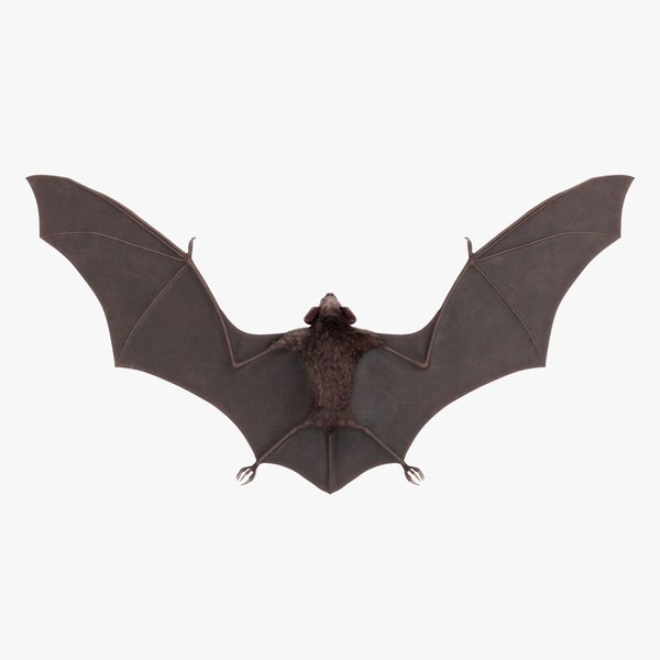 Free 3D Bat Models | TurboSquid