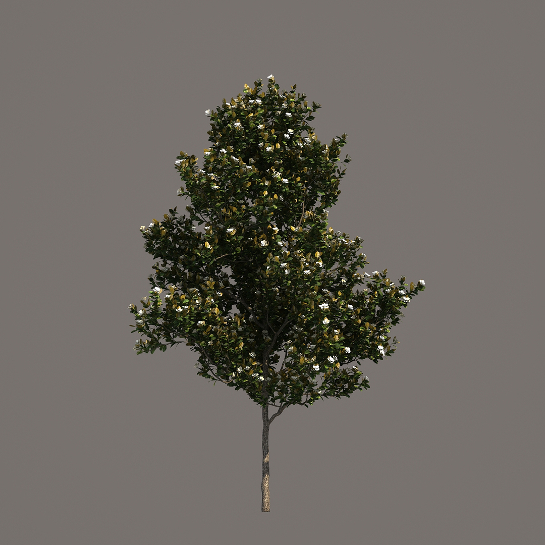 3d Model 2 5 Tree