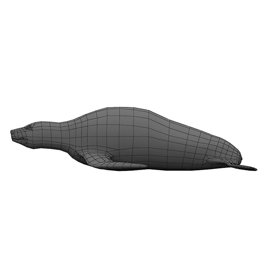 3d Fbx Polygonal Fur Seal